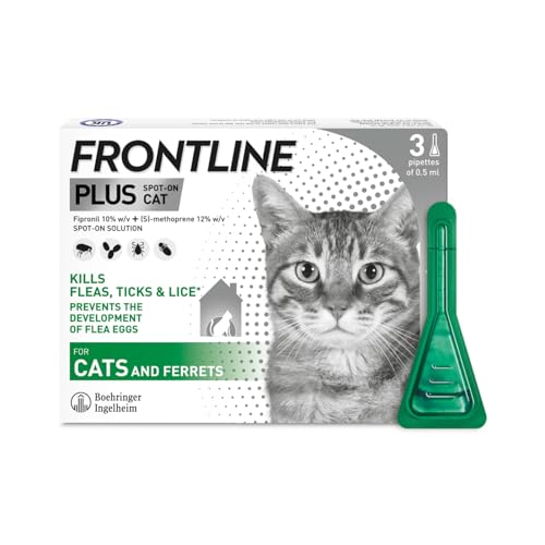 Best Antibiotic for Cat Scratch Disease: Top Treatments That Work Fast ...
