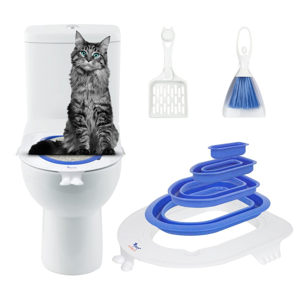 How to Potty Train Cat Litter Box: Expert Tips - Cats