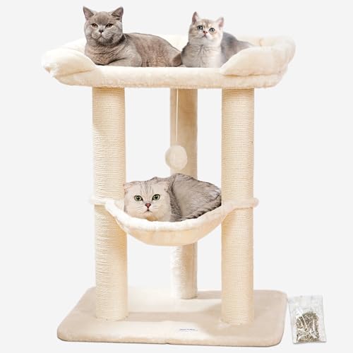 Large Cat Perch Ideas for Comfortable and Durable Cat Trees - Cats
