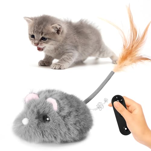 Remote Control Cat Toy With Camera: Ultimate Interactive Pet ...